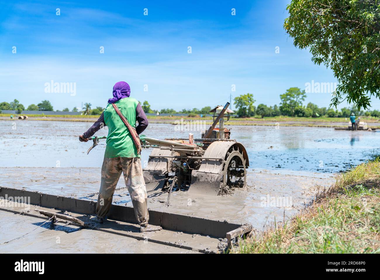 Rice cultivation preparation hi-res stock photography and images - Alamy