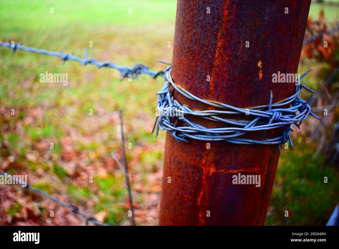 Barbed wire wrapped around a rusty metal corner post, forming a fence ...