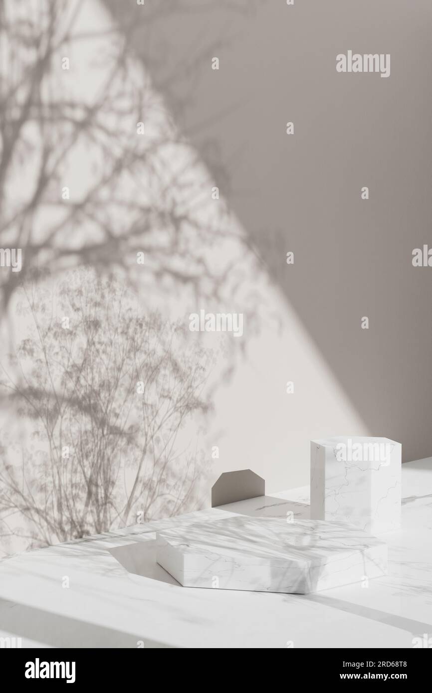 Simple monotone background with vases, tree shadows and natural light ...