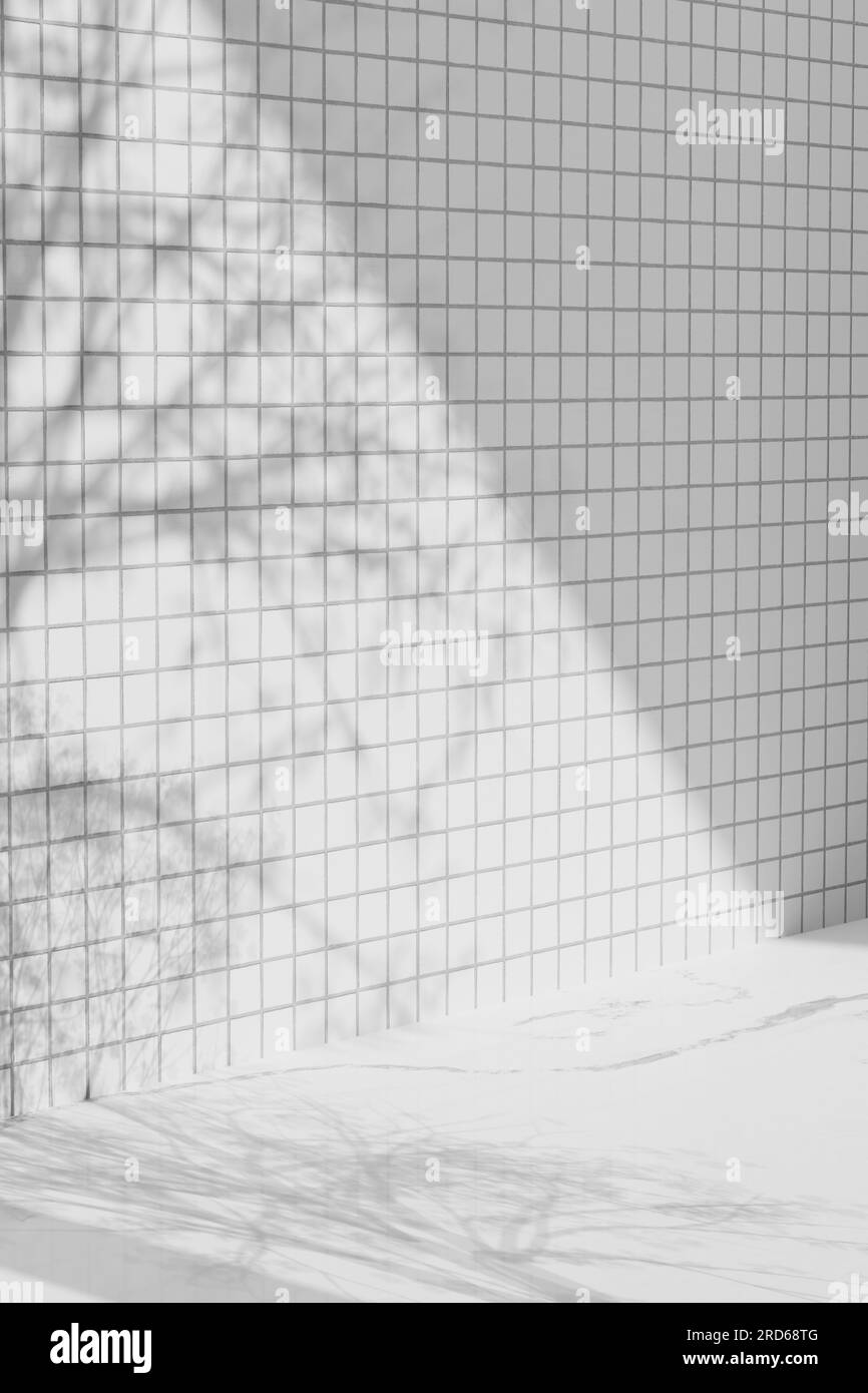 Simple monotone background with vases, tree shadows and natural light ...