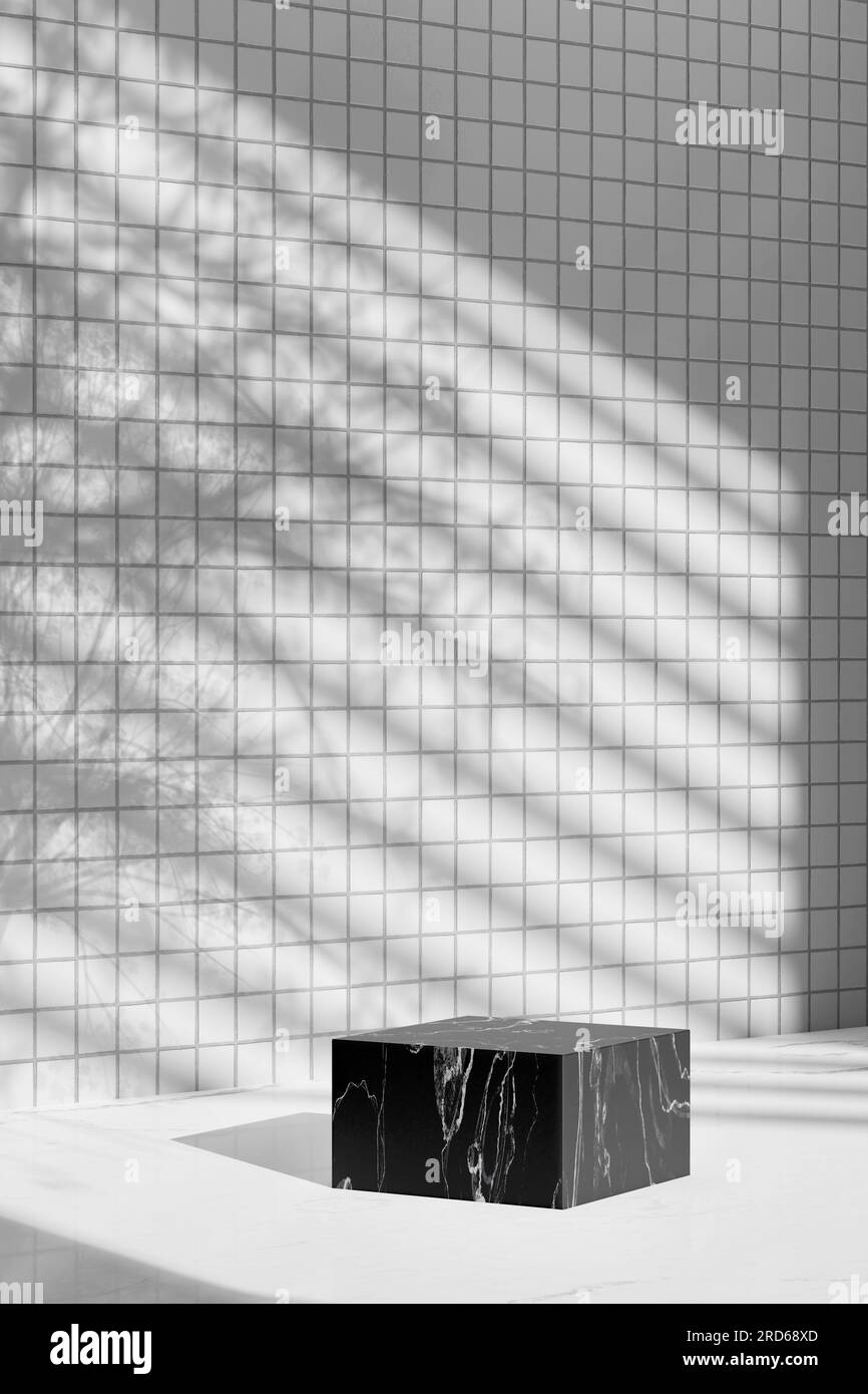 Simple monotone background with vases, tree shadows and natural light ...