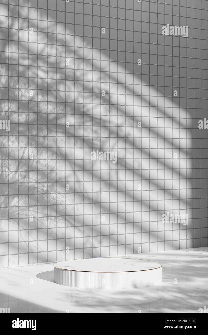 Simple monotone background with vases, tree shadows and natural light ...