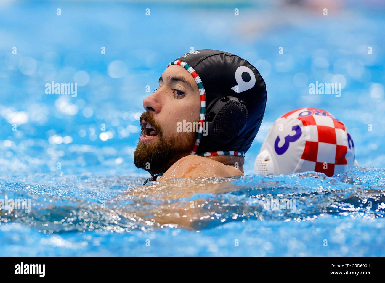 Polo marino hi-res stock photography and images - Alamy