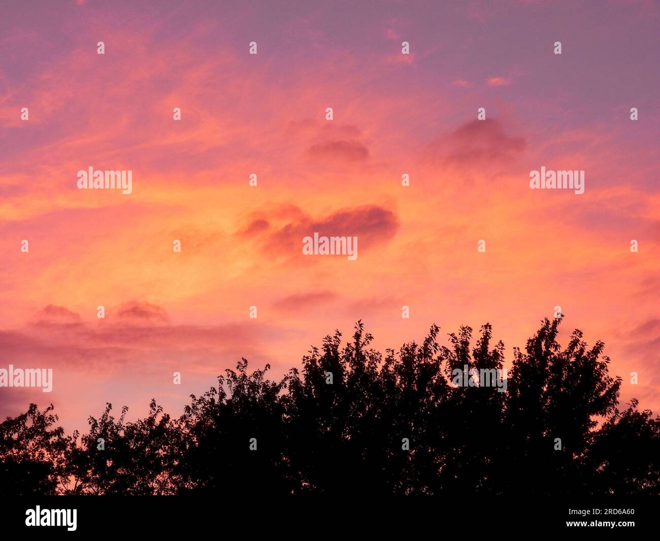 Glorious Red and Orange Sunset Above the Trees During Fall Stock Photo ...