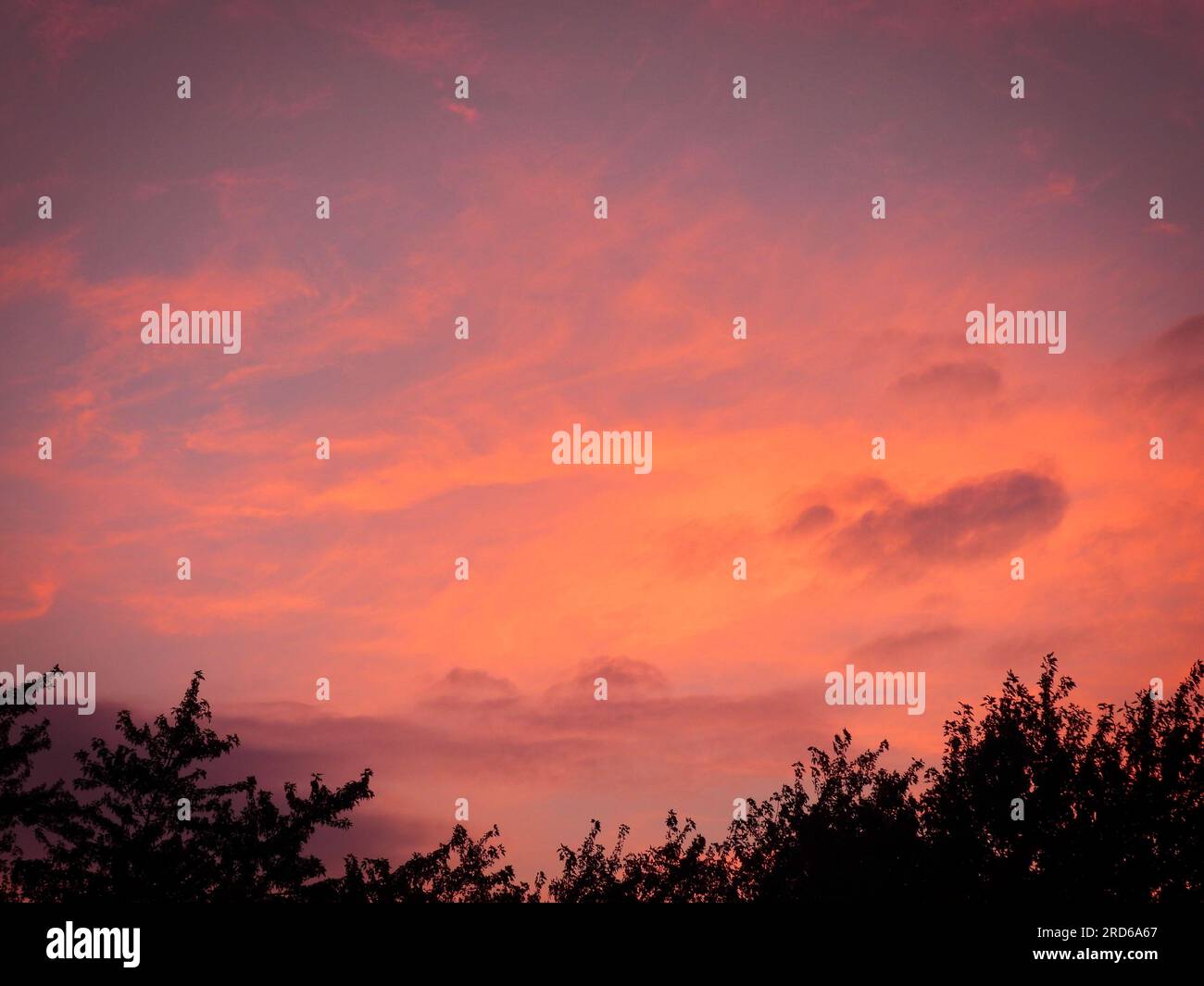 Glorious Red and Orange Sunset Above the Trees During Fall Stock Photo ...