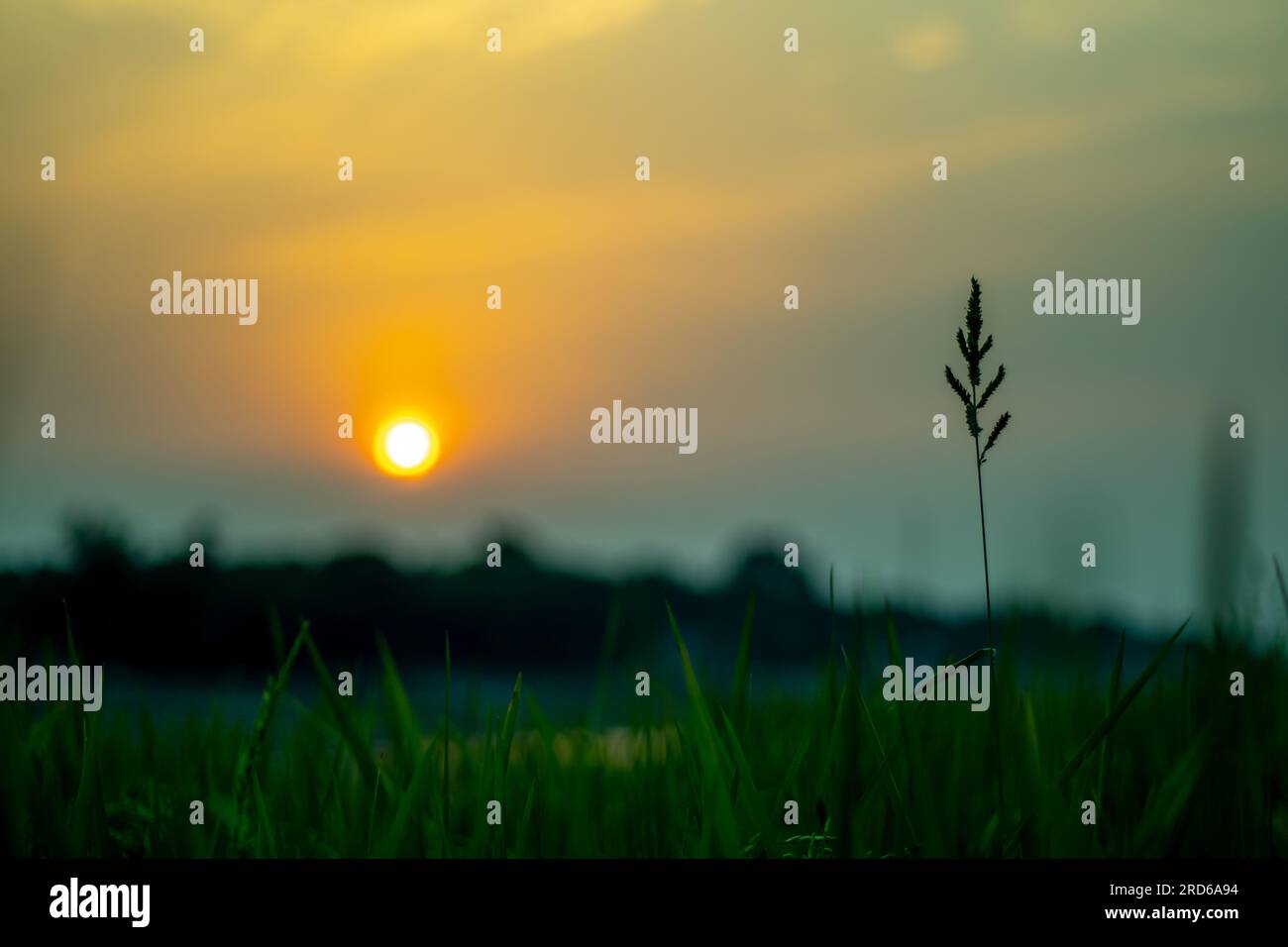 Eye catching view hi-res stock photography and images - Alamy