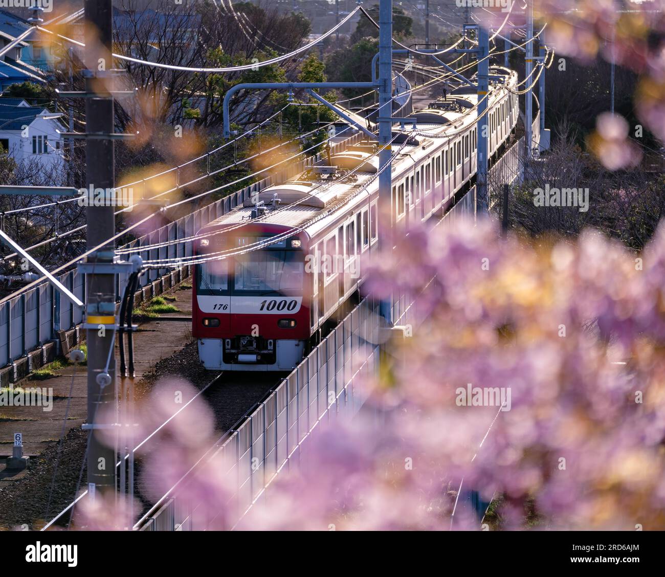 Sakura along the The Keikyū Kurihama train Line connecting Tokyo to the ...