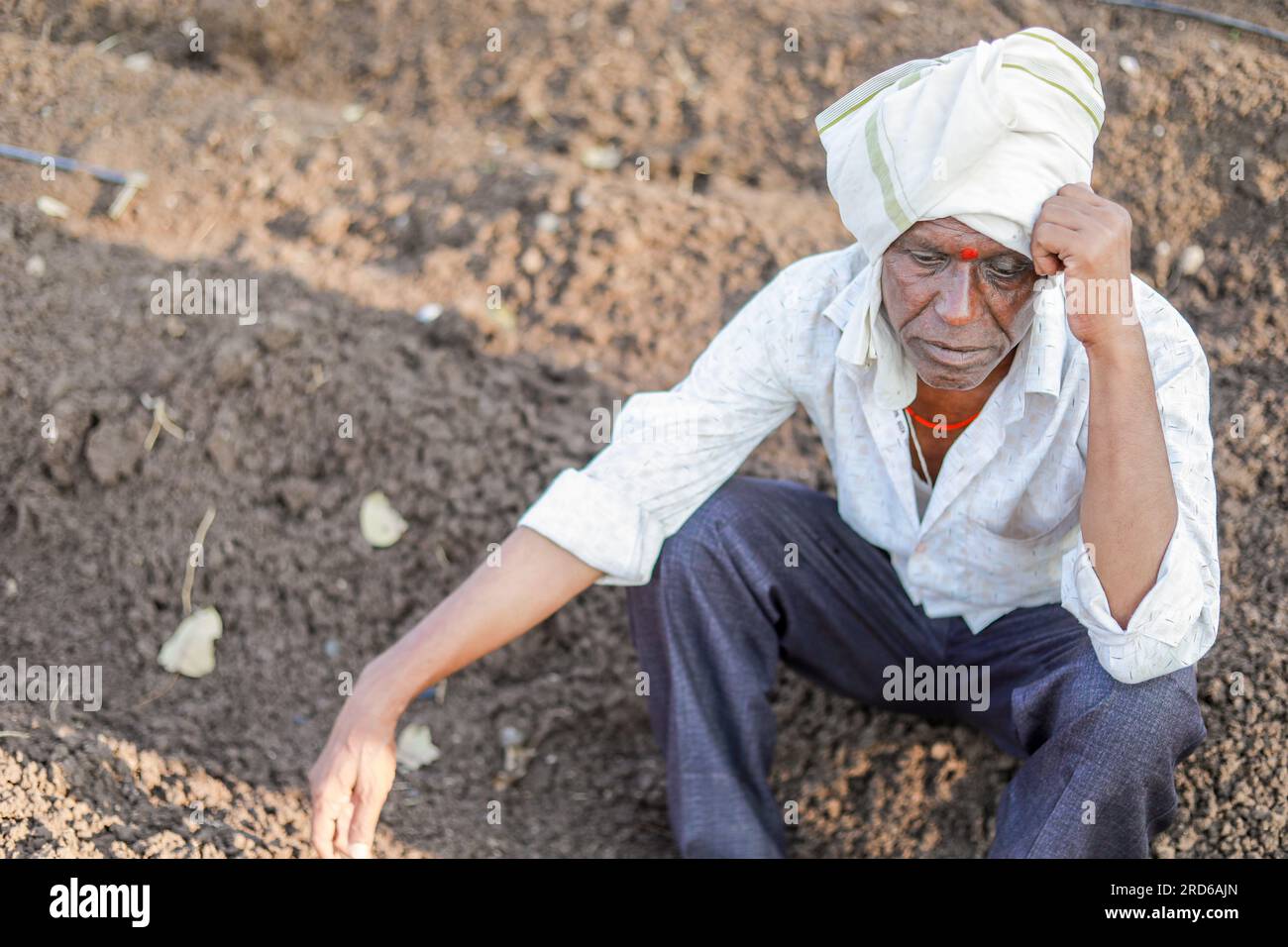 sad farmer, Elderly farmer man sitting in the soil & lost in thought ...