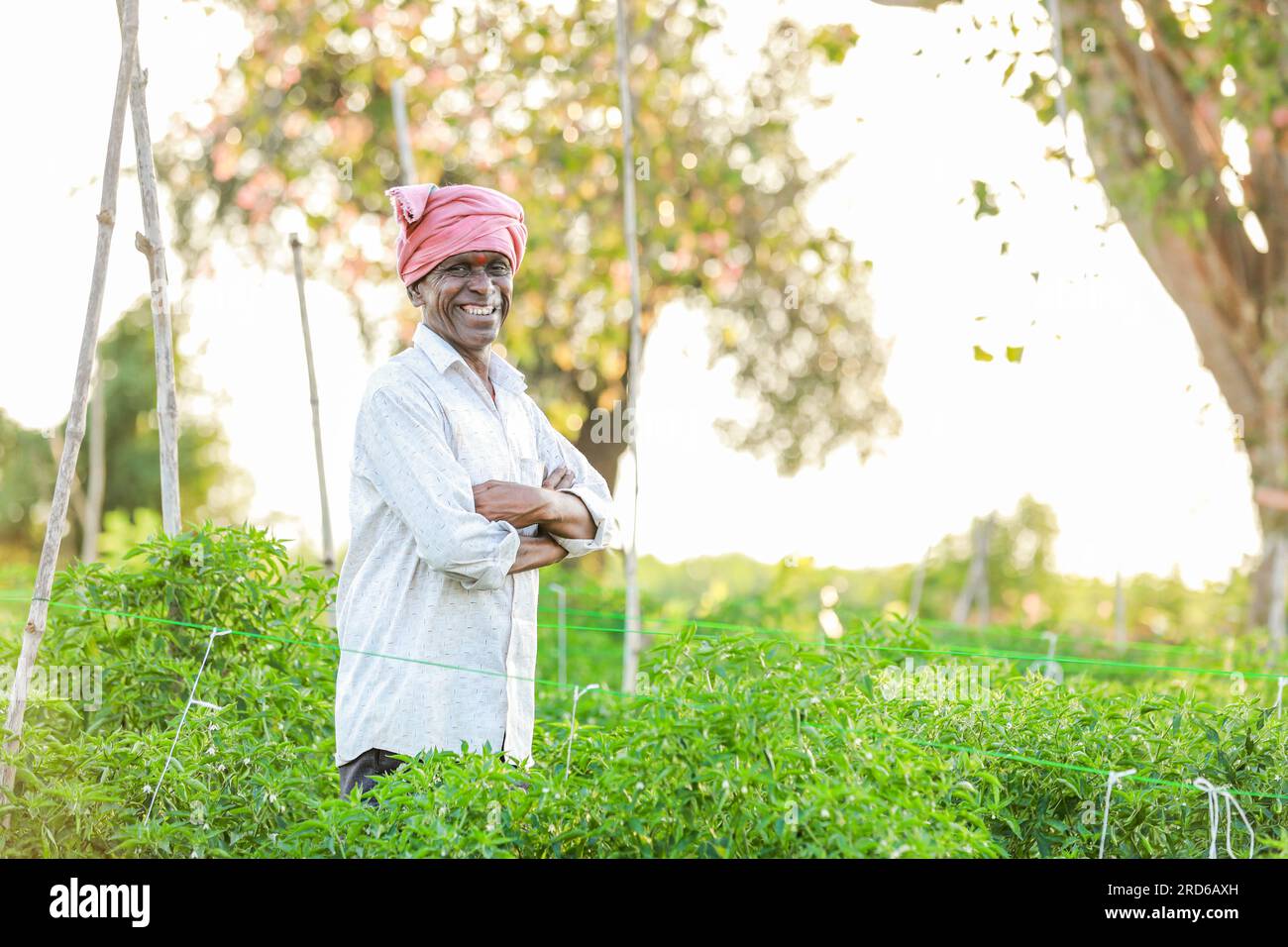 Indian farm scene hi-res stock photography and images - Alamy