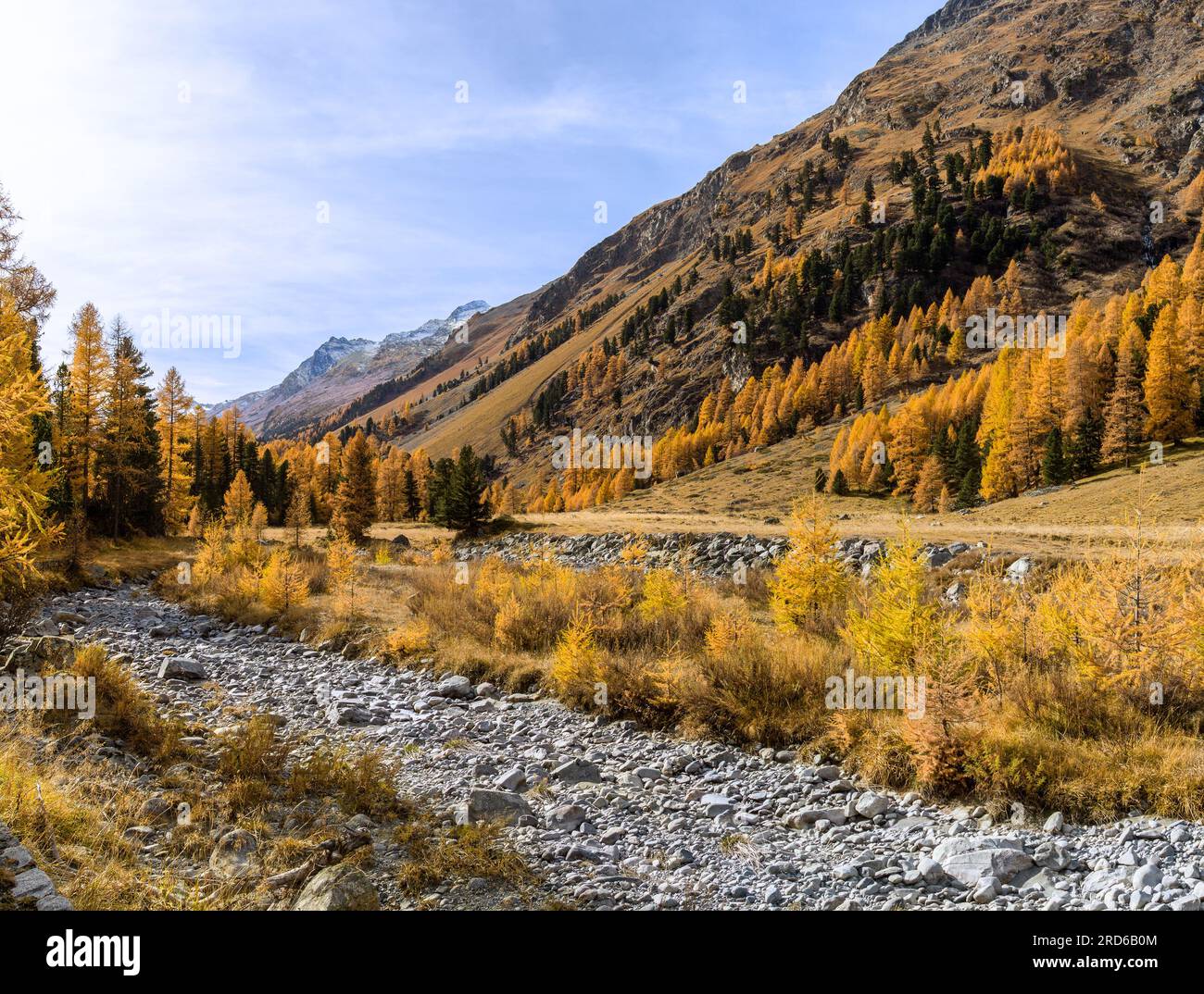 The famouse recreational Roseg Valley in the golden autumn season with ...