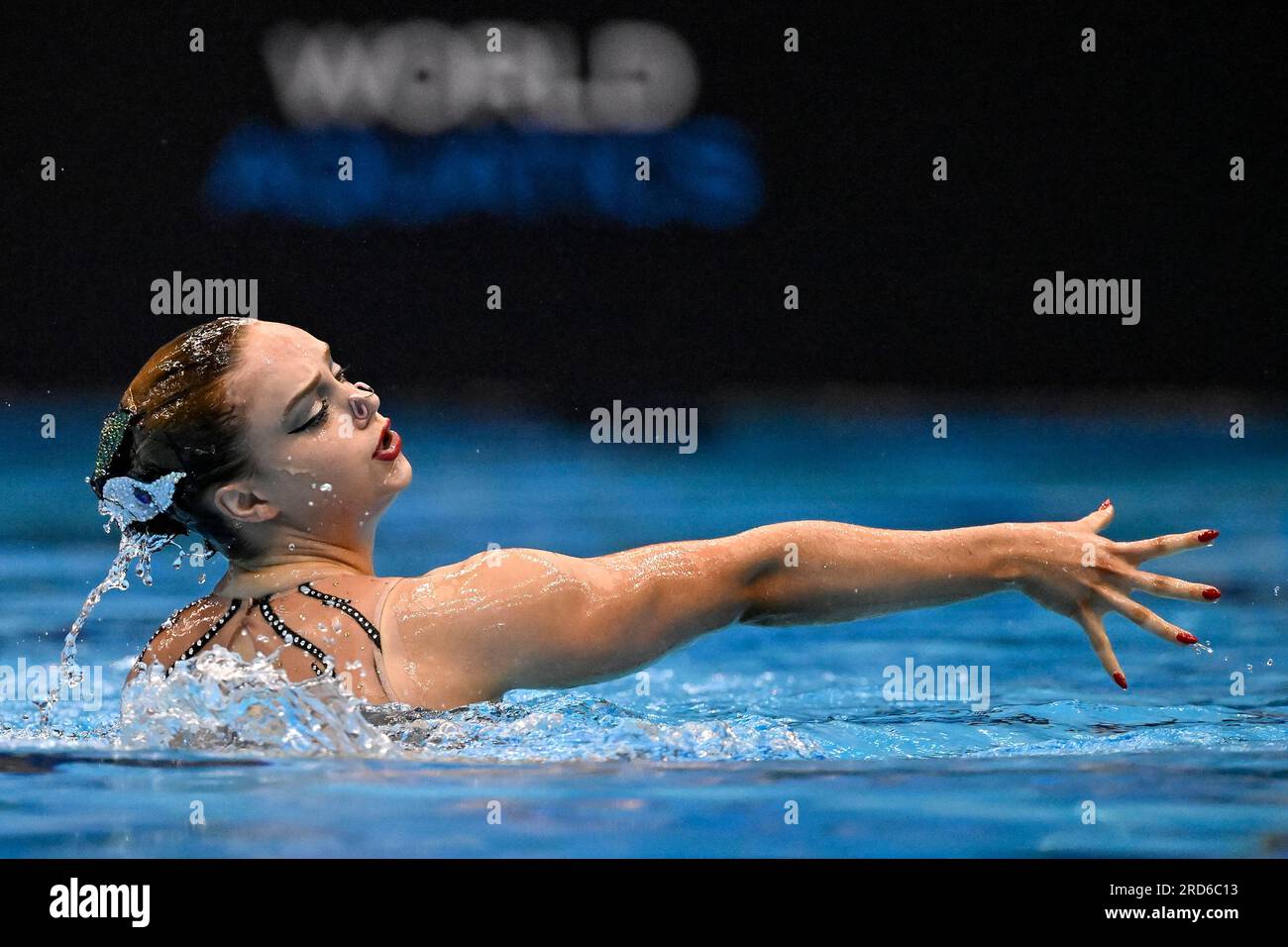 World championship swimming 2023 hi-res stock photography and images ...