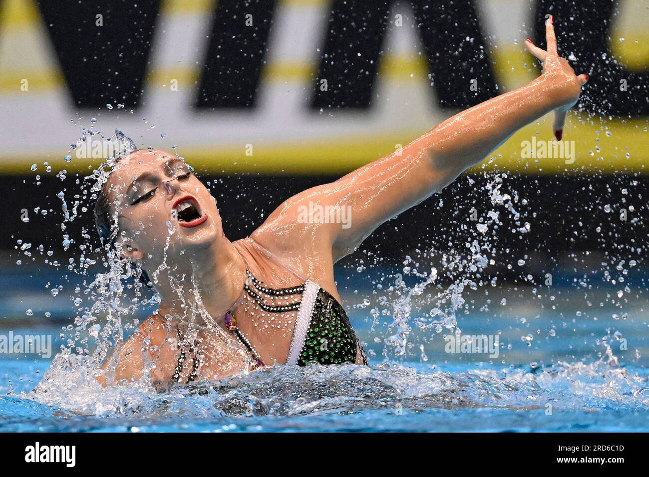 World championship swimming 2023 hi-res stock photography and images ...