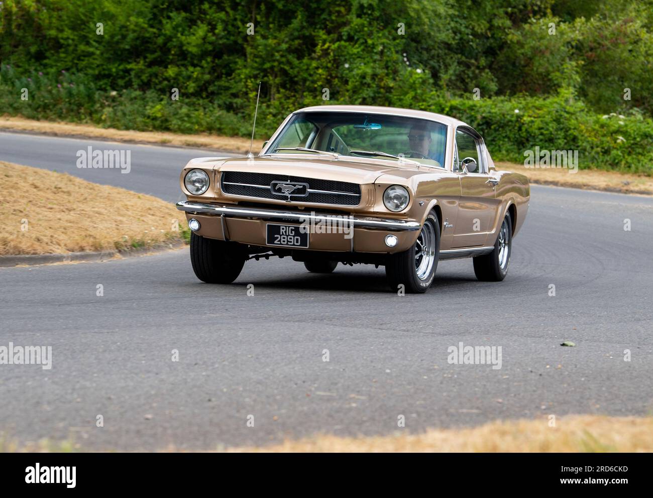 1965 Ford Mustang 289 first generation classic American car Stock Photo ...