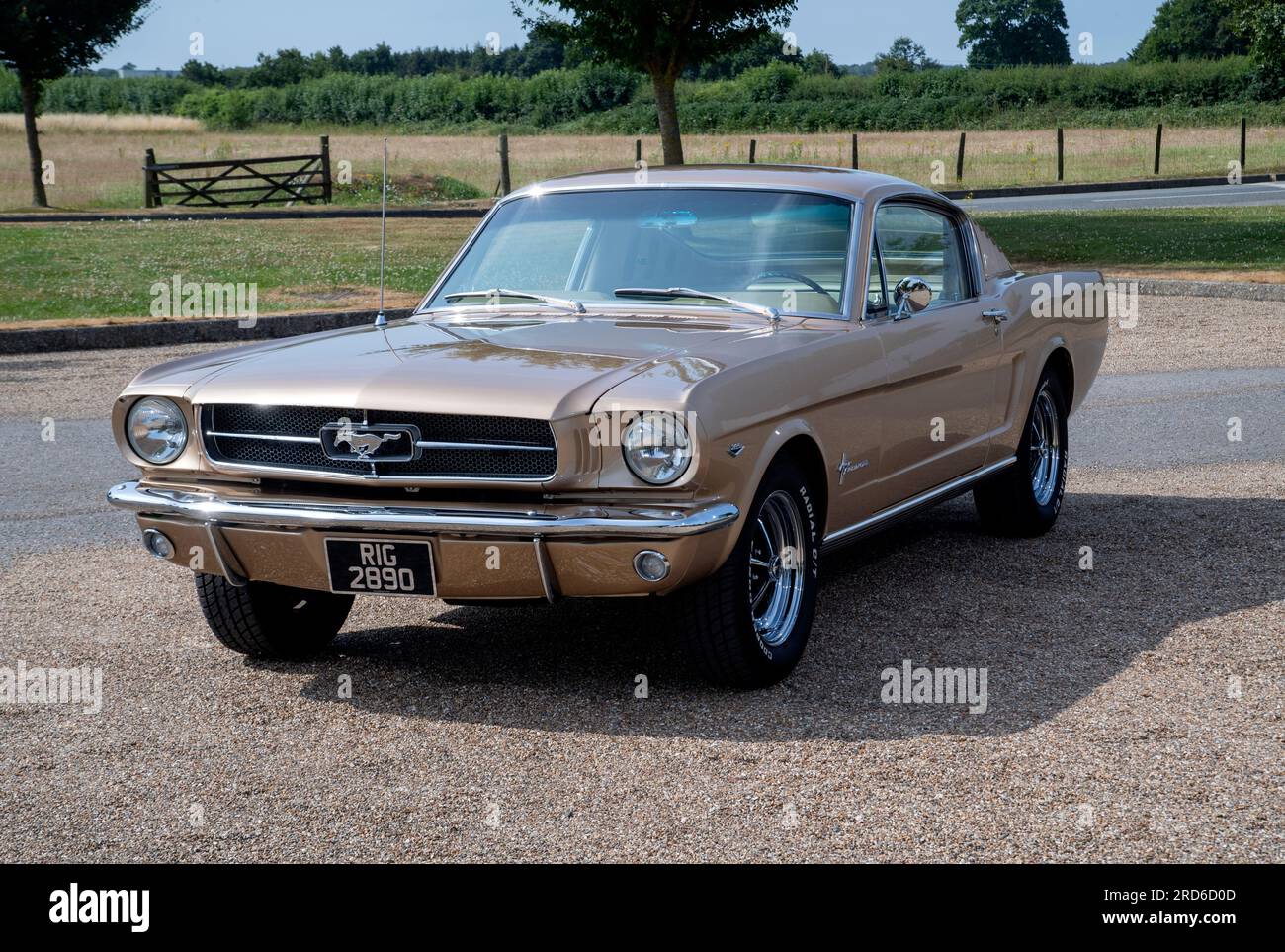 1965 Ford Mustang 289 first generation classic American car Stock Photo ...