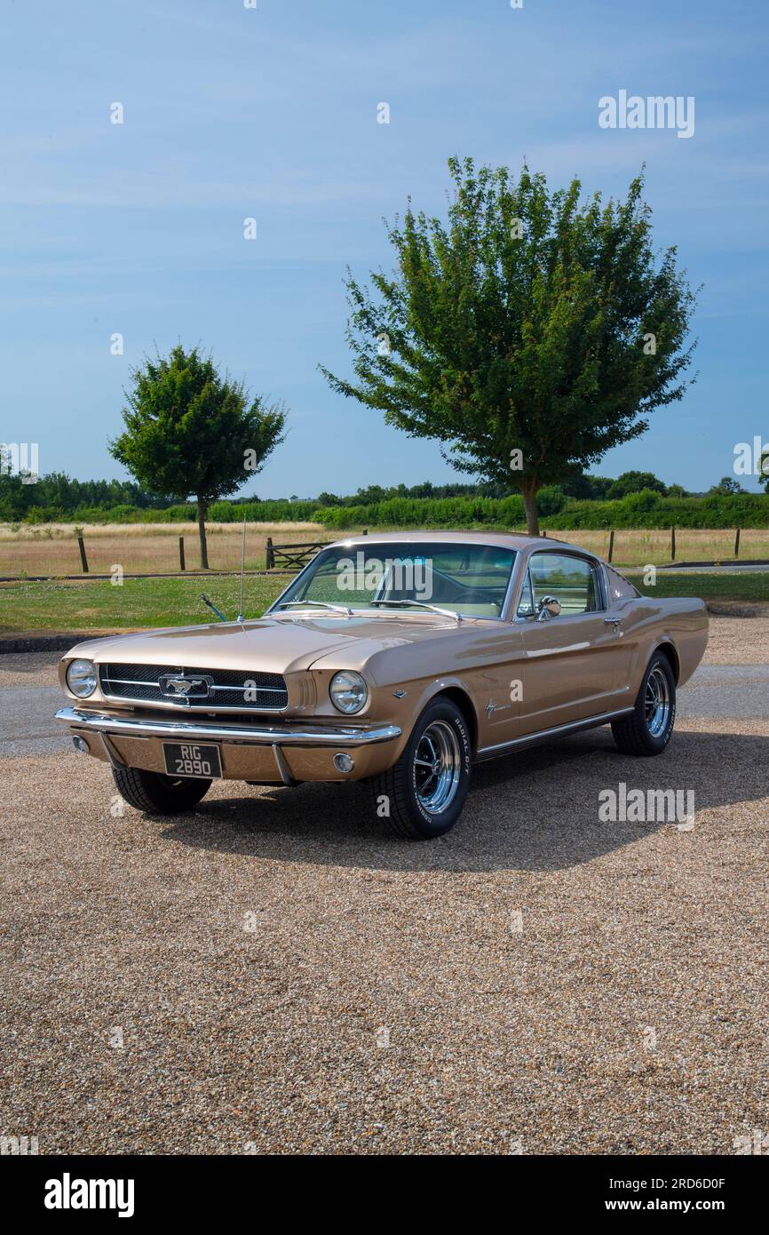 1965 Ford Mustang 289 first generation classic American car Stock Photo ...