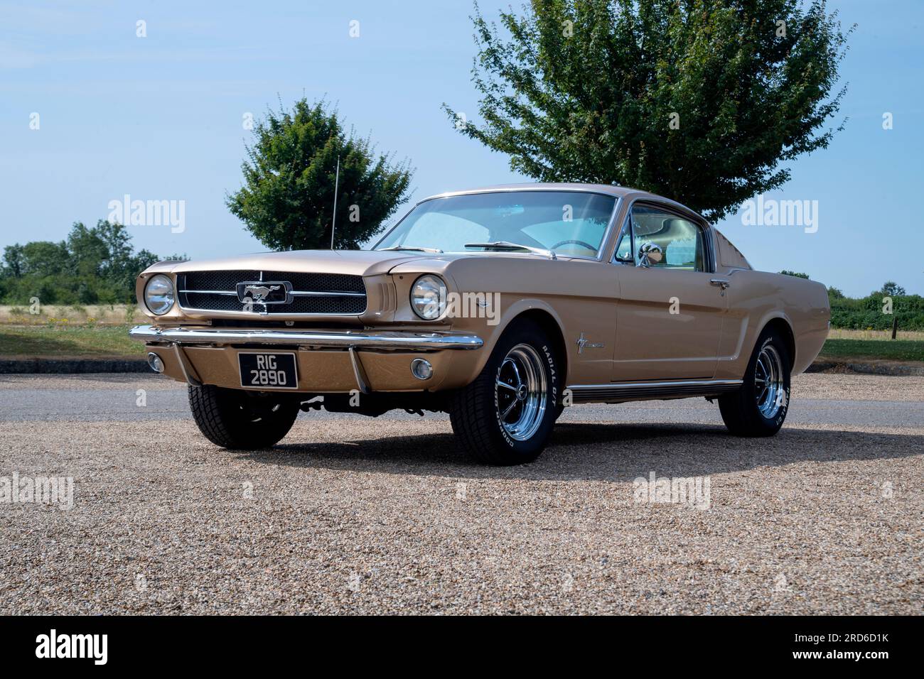 1965 ford mustang coupe hi-res stock photography and images - Alamy