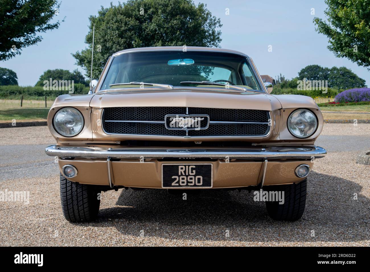 1965 Ford Mustang 289 first generation classic American car Stock Photo ...