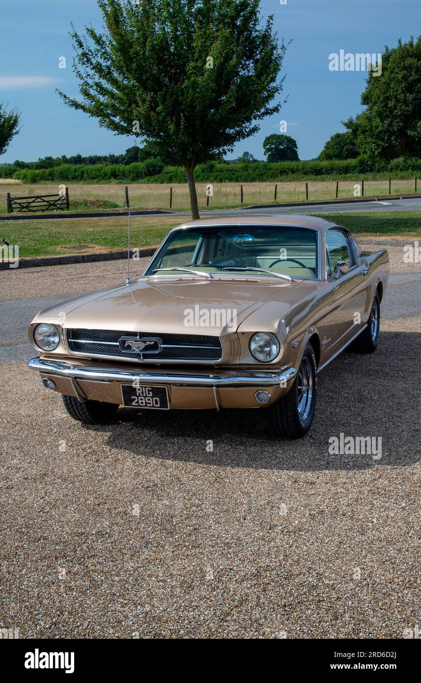 1965 Ford Mustang 289 first generation classic American car Stock Photo ...