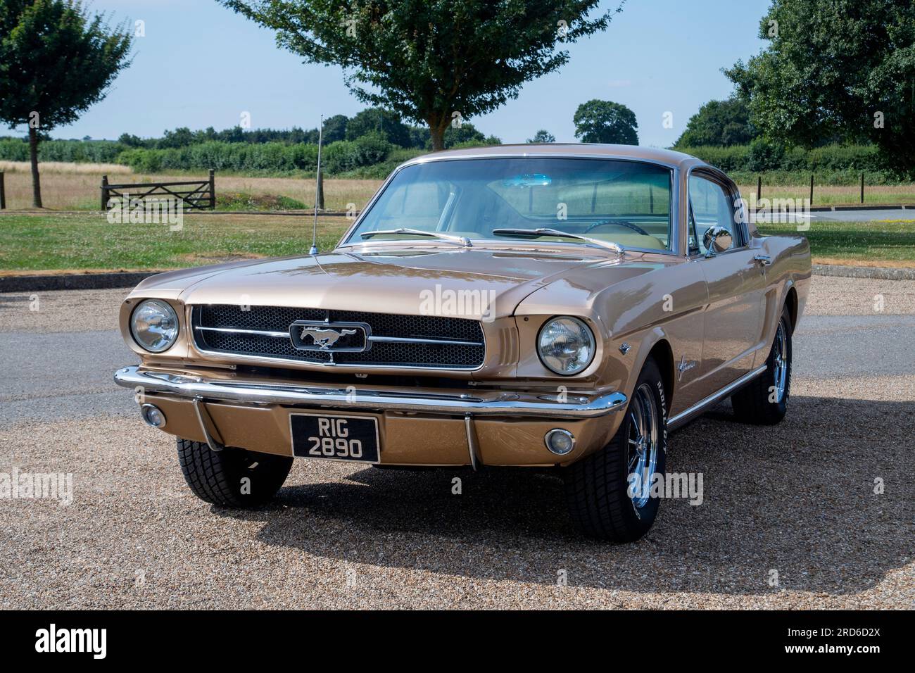 1965 Ford Mustang 289 first generation classic American car Stock Photo ...