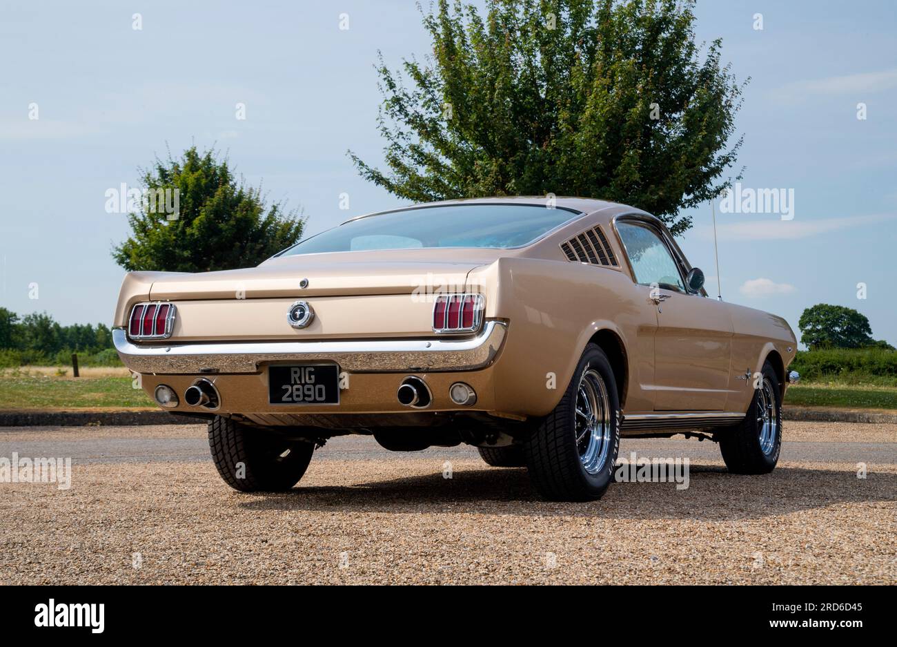 1965 Ford Mustang 289 first generation classic American car Stock Photo ...