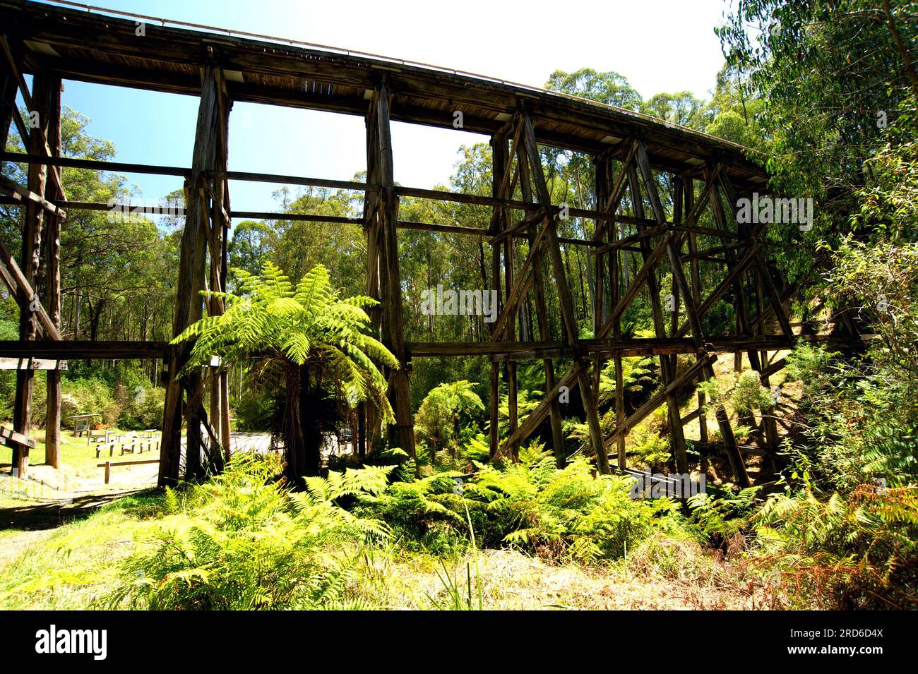 The Noojee Trestle was built to carry the railway from Warragul to ...