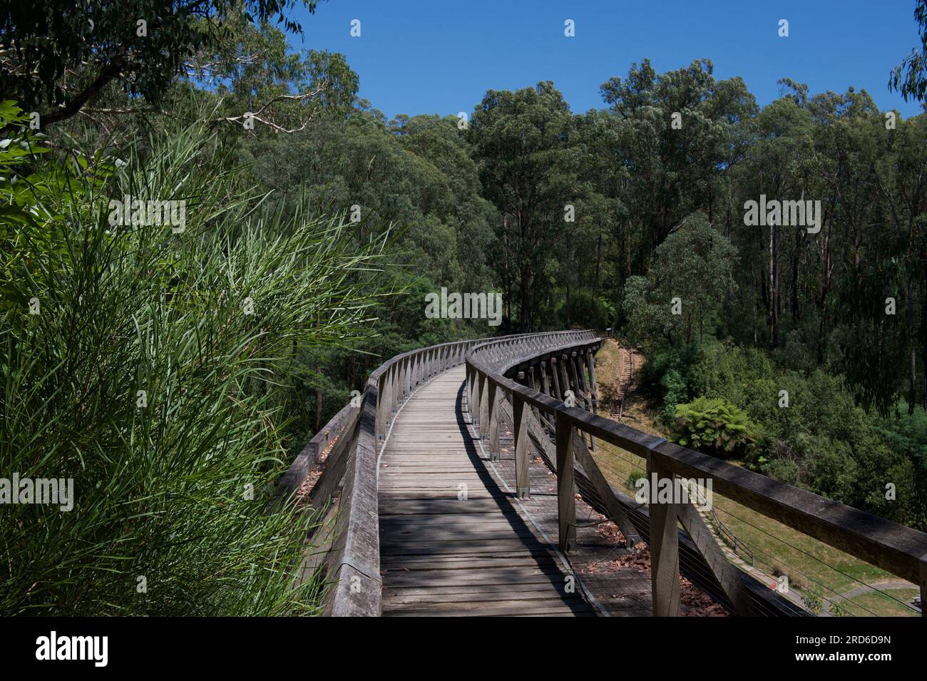 The Noojee Trestle was built to carry the railway from Warragul to ...
