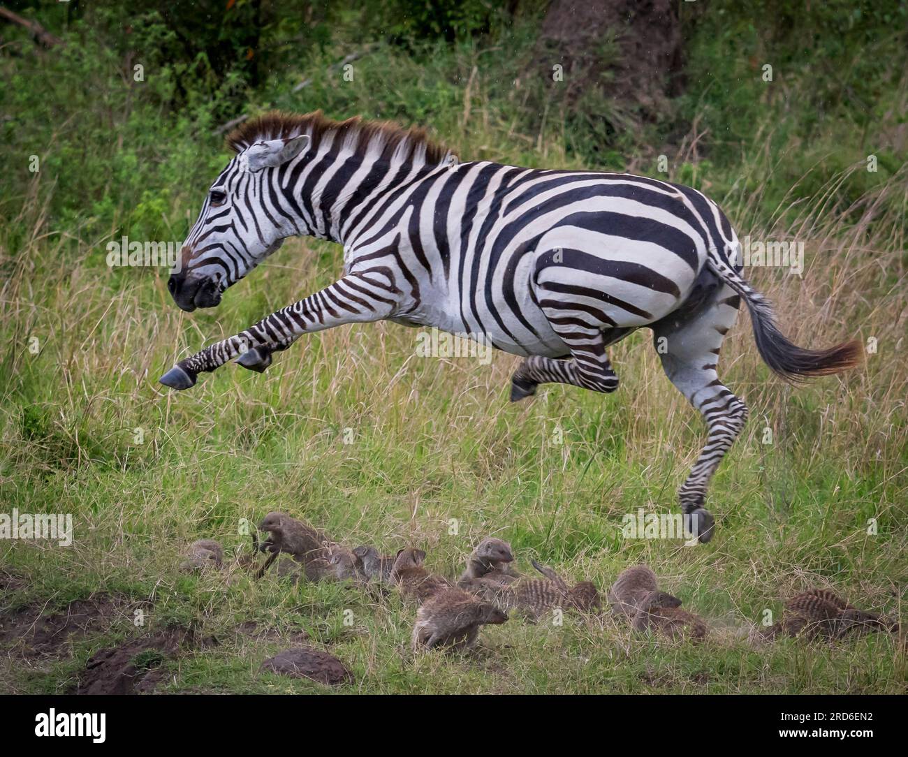 Feet together hi-res stock photography and images - Alamy