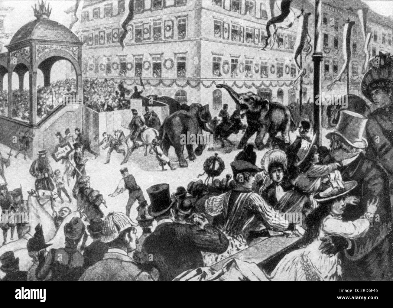 Elephas maximus drawing Black and White Stock Photos & Images - Alamy