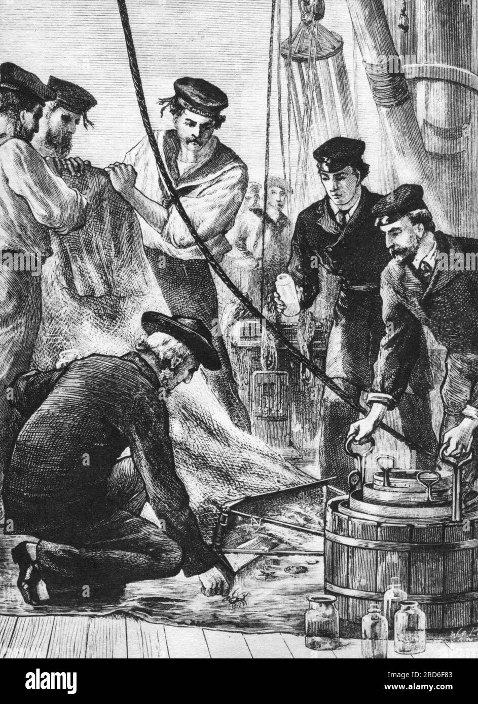 expedition, Challenger expedition 1872 - 1876, collection of marine ...