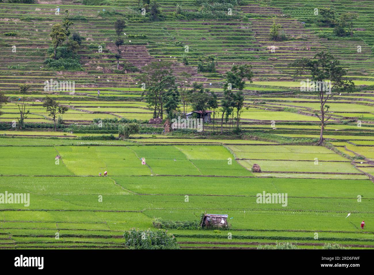 Vietnam nepal hi-res stock photography and images - Alamy
