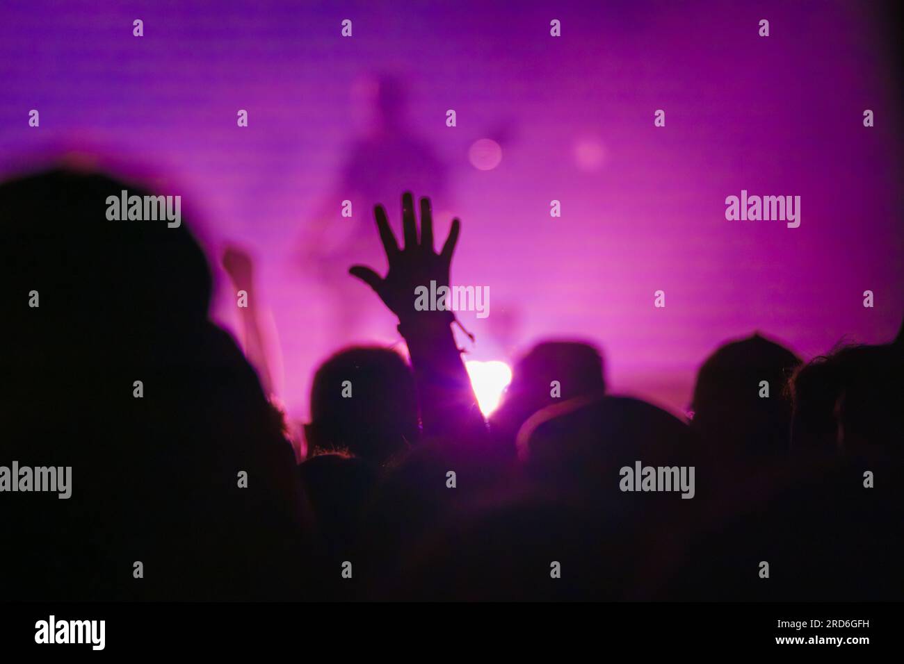 Back view of excited anonymous male spectator showing raised open hand ...