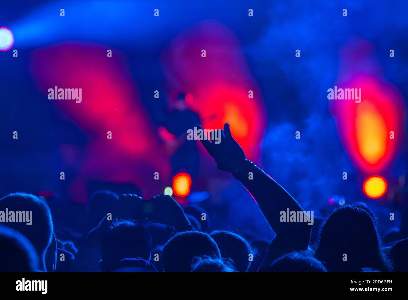 Back view of excited anonymous male spectator showing raised hand sign ...