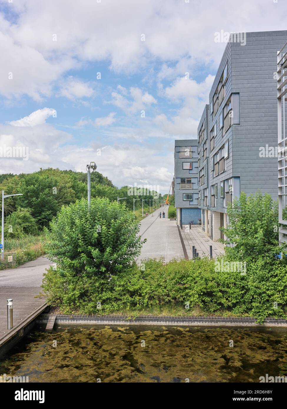 Cotton path, West Cambridge Site, University of Cambridge, England ...