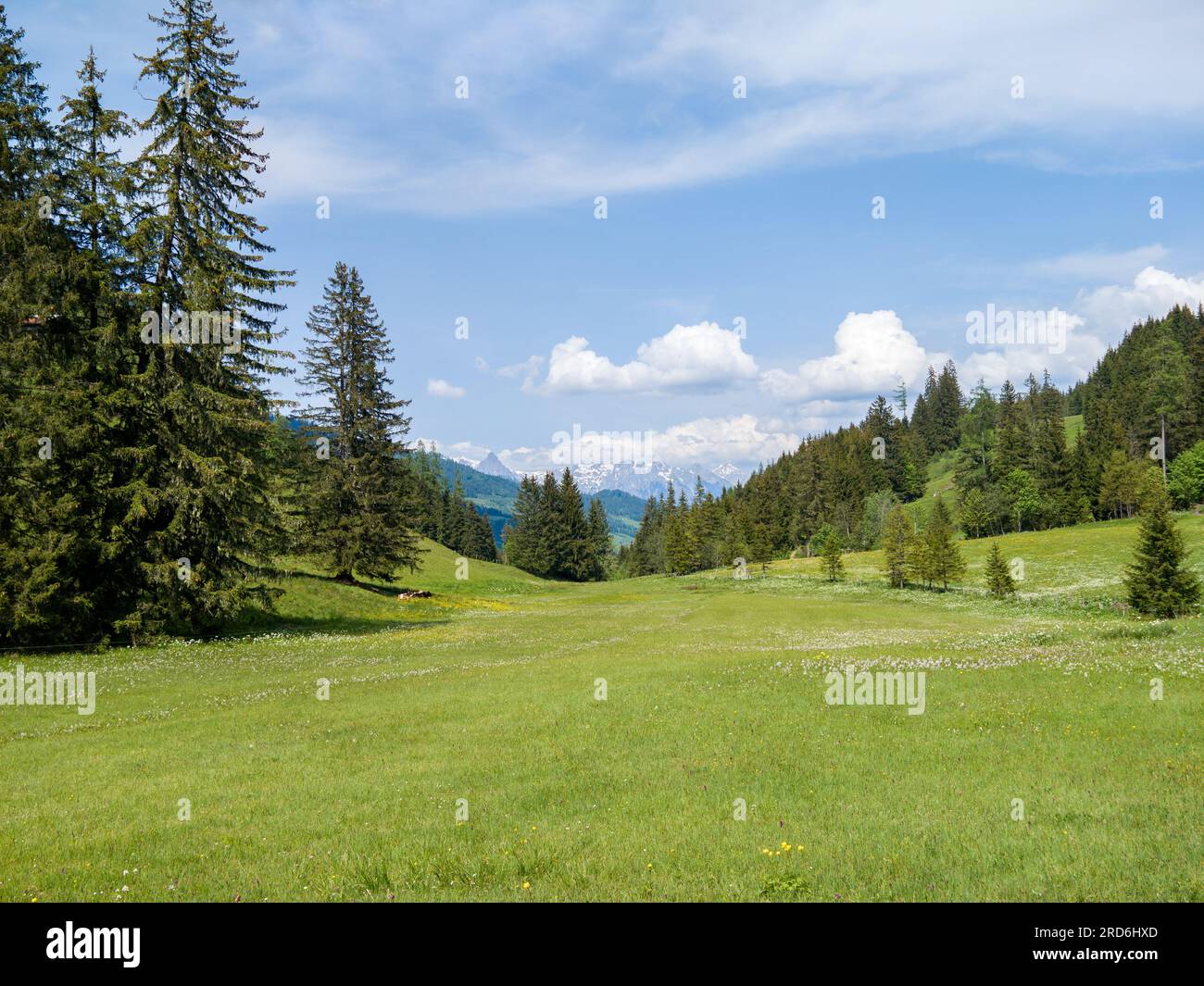 Pongau st veit hi-res stock photography and images - Alamy