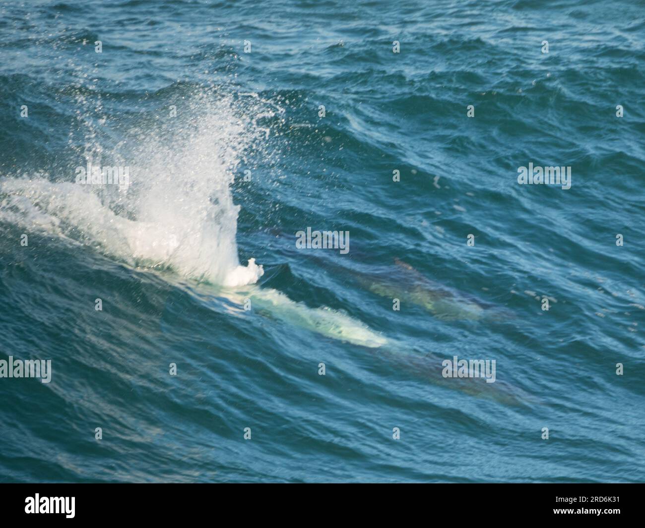 Underwater splash australia hi-res stock photography and images - Alamy