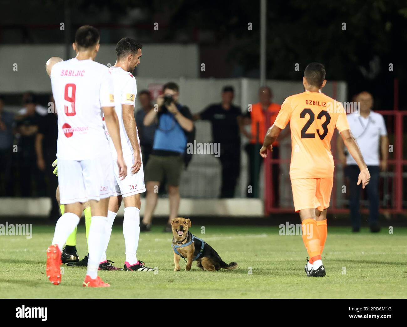 The dog ran into the field during the return match of the first ...