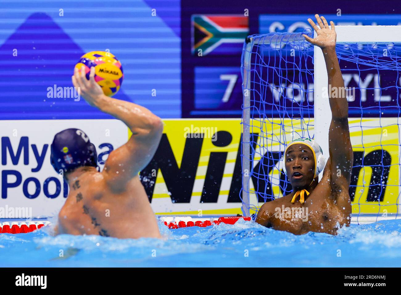 Mangoba bungane hi-res stock photography and images - Alamy