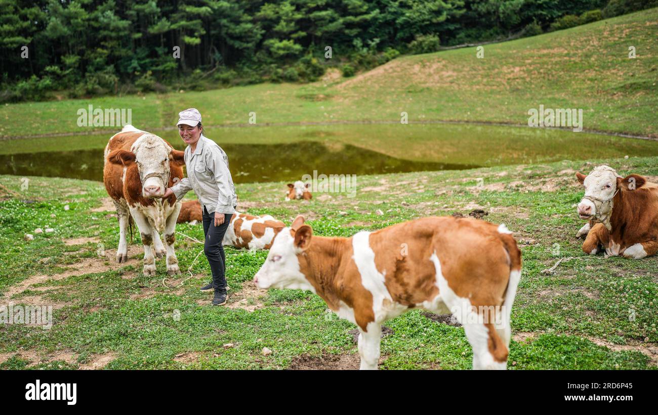 Weining, Hui and Miao Autonomous County in southwest China's Guizhou ...