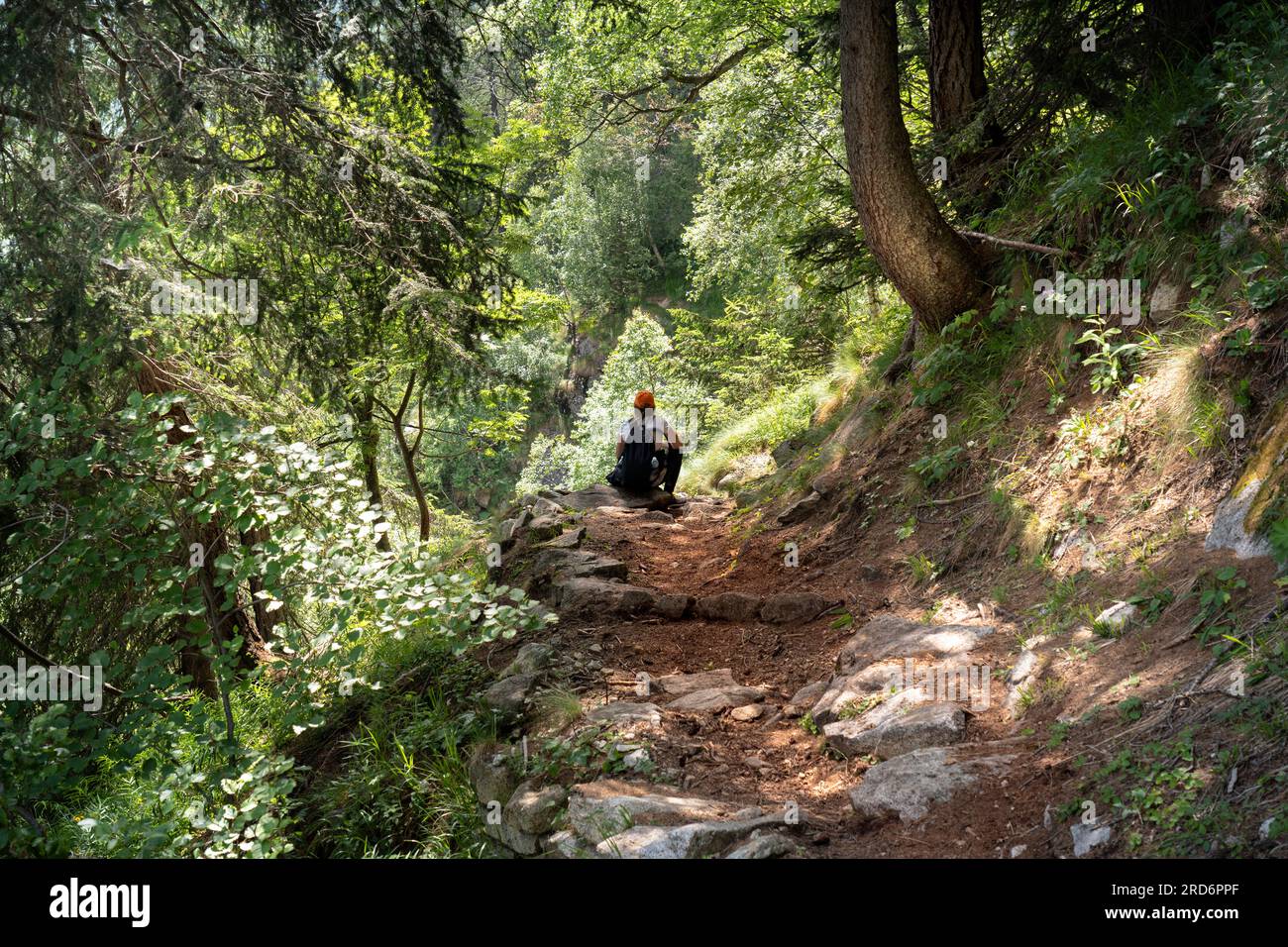 girl sitting on a path in a forest in Trentino Stock Photo - Alamy