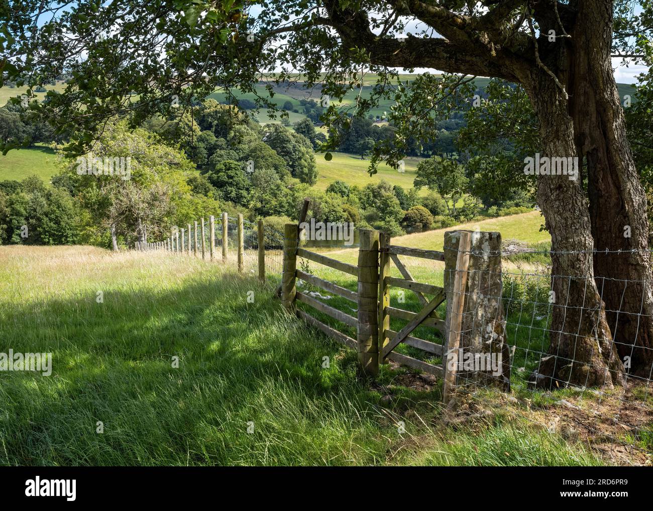 Sheep fence july hi-res stock photography and images - Alamy