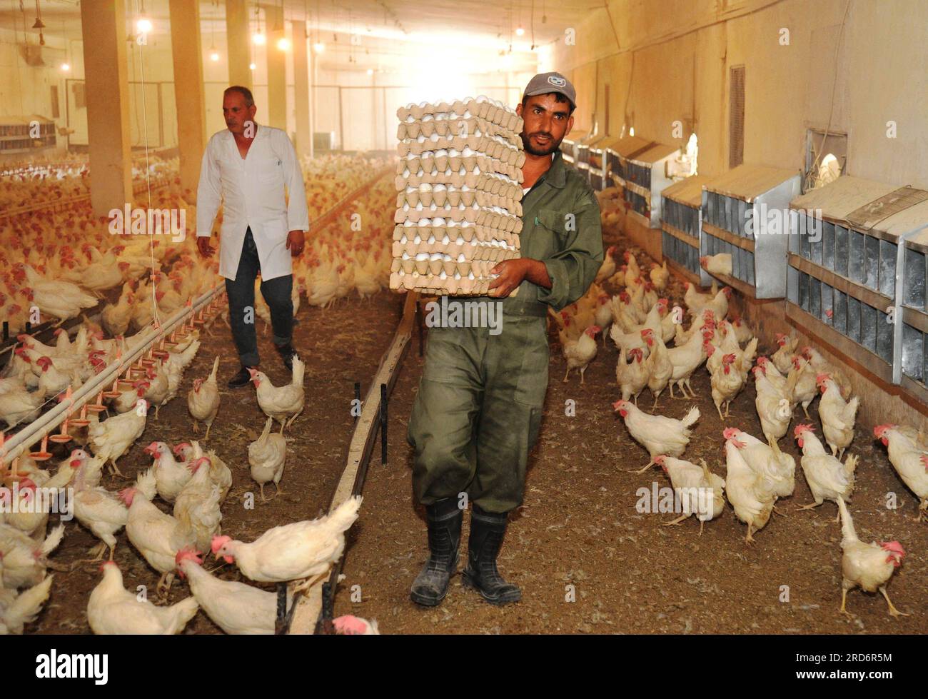 18th july 2023 hi-res stock photography and images - Alamy