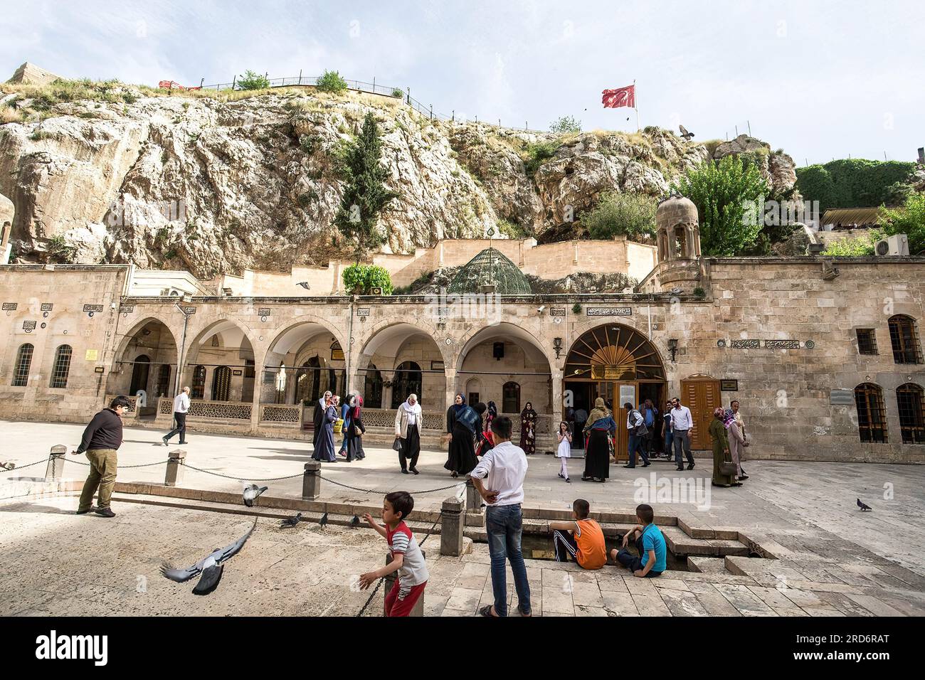 Pool of Sacred Fish Stock Photo - Alamy