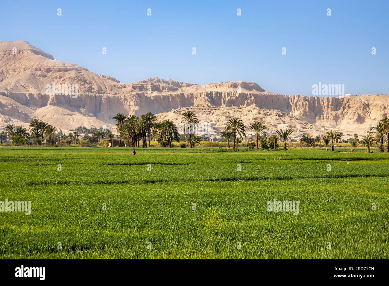 Ancient egyptian farming hi-res stock photography and images - Alamy