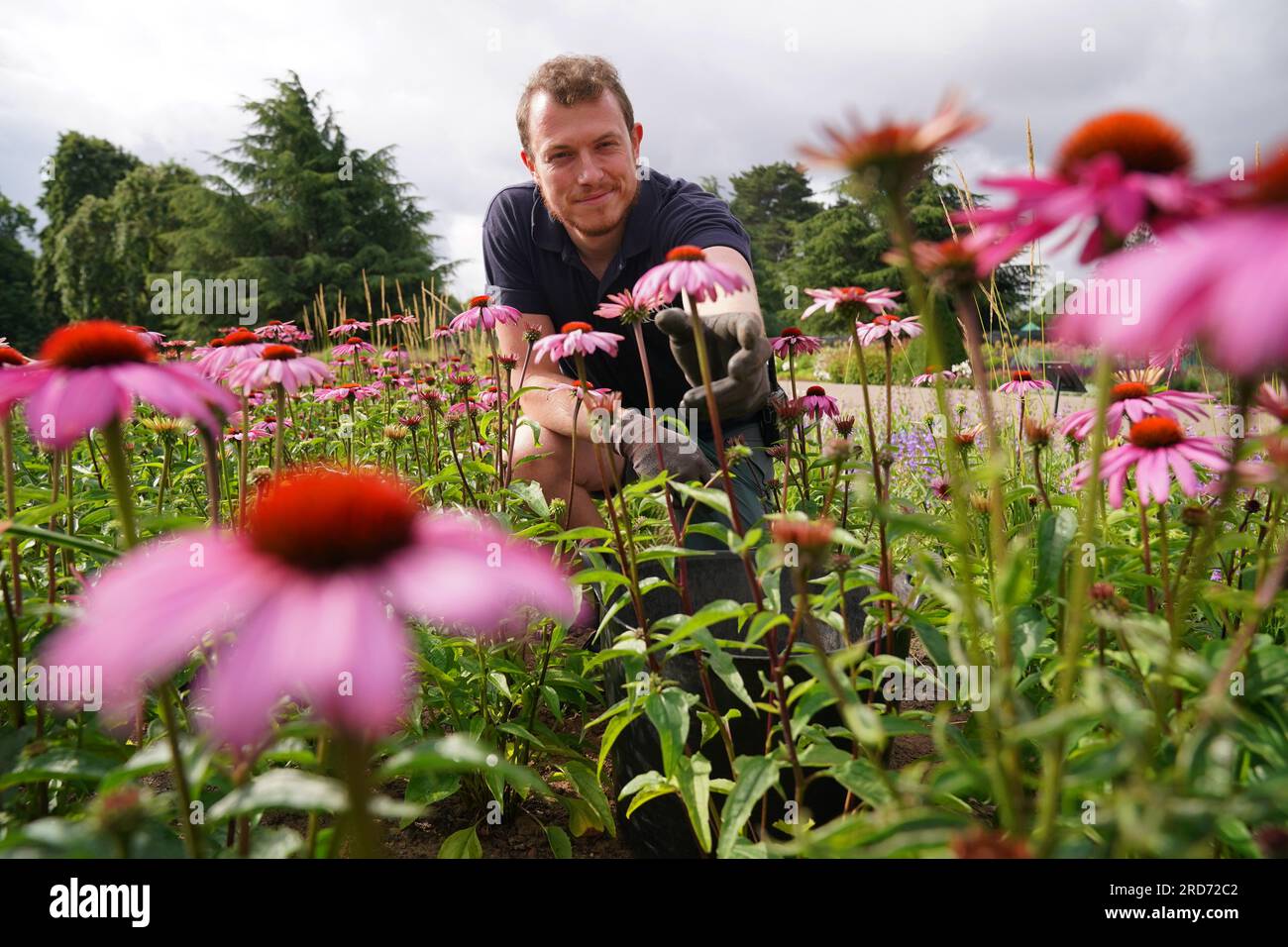 Botanical horticulturist Simon Thompson working on the new beds in the ...