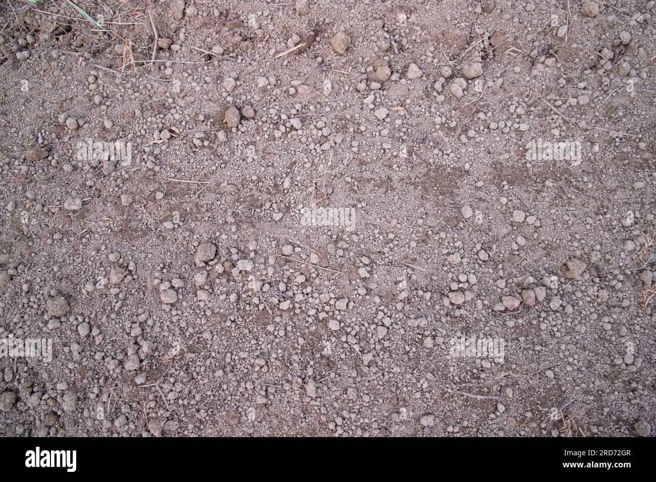 Brown crushed soil peat field texture may be used as a background ...