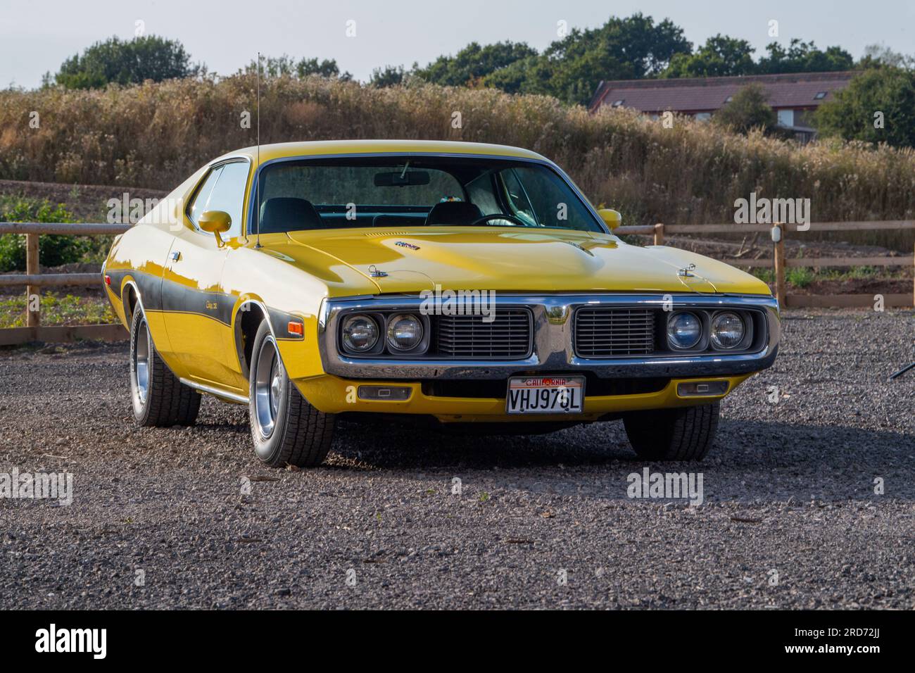 1973 Dodge Charger 440 Magnum American muscle car Stock Photo - Alamy