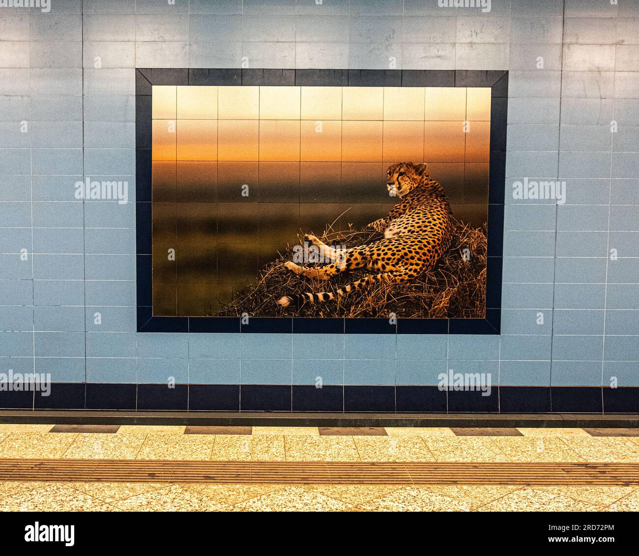 U Afrikanische Strasse U-Bahn Underground railway station interior in ...