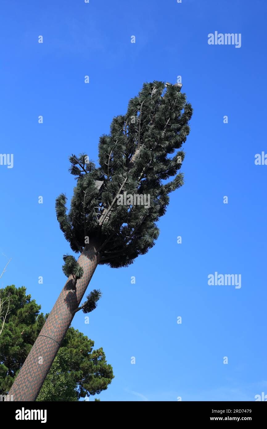 Mobile phone mast disguised as a tree in Rue du Moulin, Larmor Baden ...