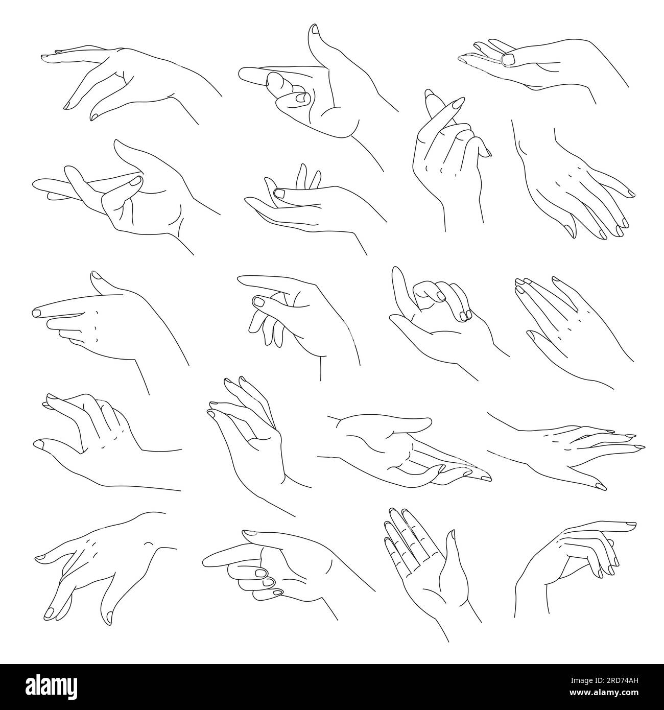 Elegant and tender hands with fingers, vector Stock Vector Image & Art ...