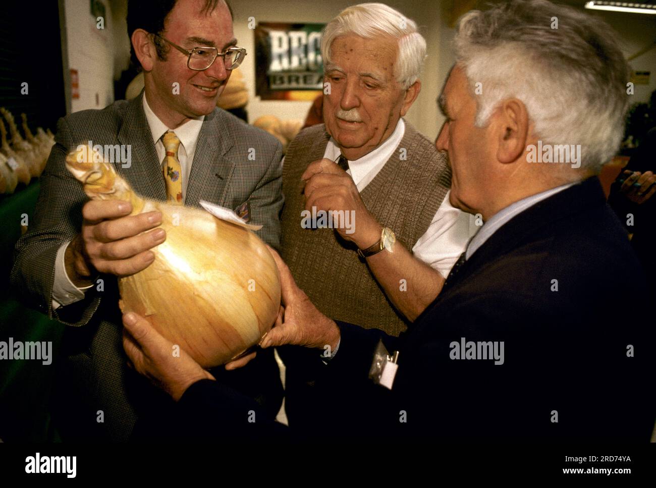 Giant vegetable competition takes place in the village hall UK. The ...